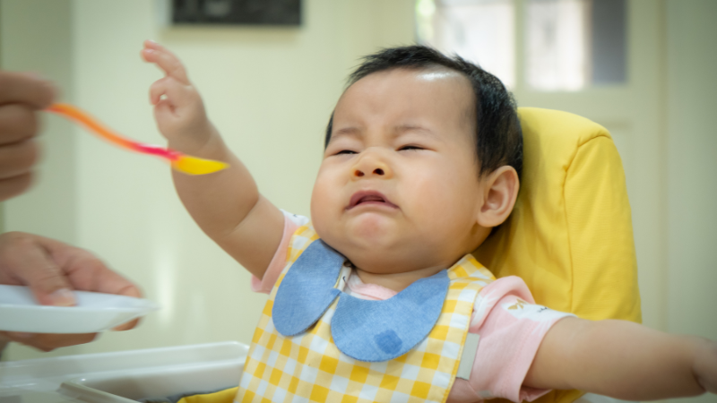 3 Tips Mencegah Anak Jadi Picky Eater – Happy Little Sleeper